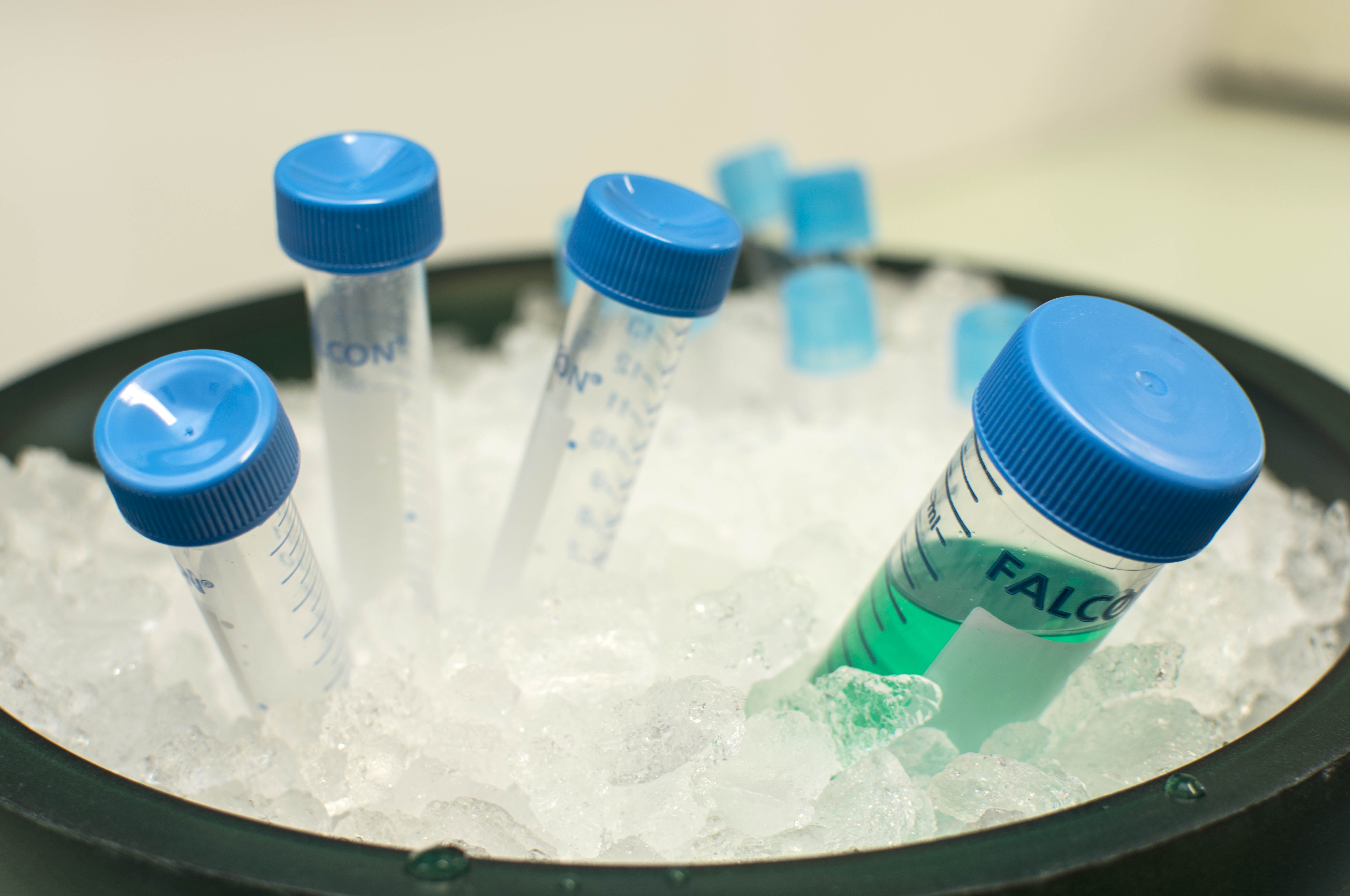 Enabling adoptive T cell transfer from seronegative individuals ...