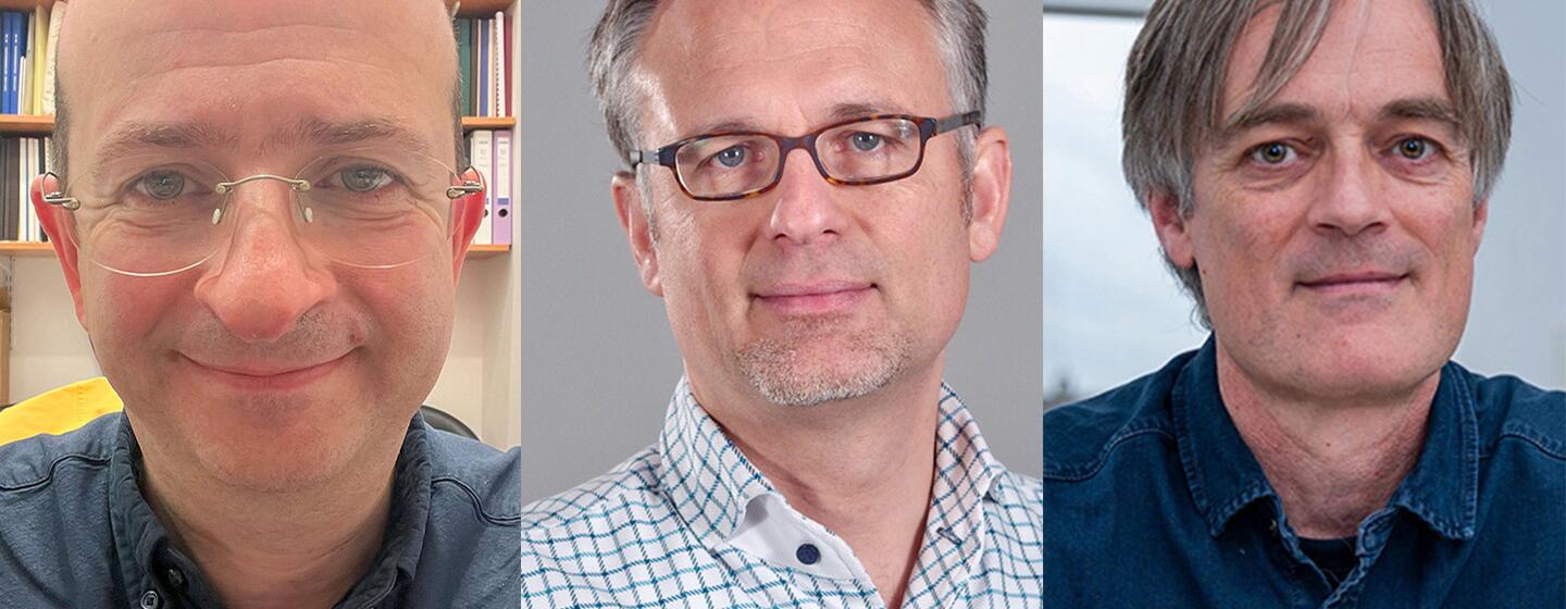 ERC Synergy Grant: German-French team receives eleven million euros for ...