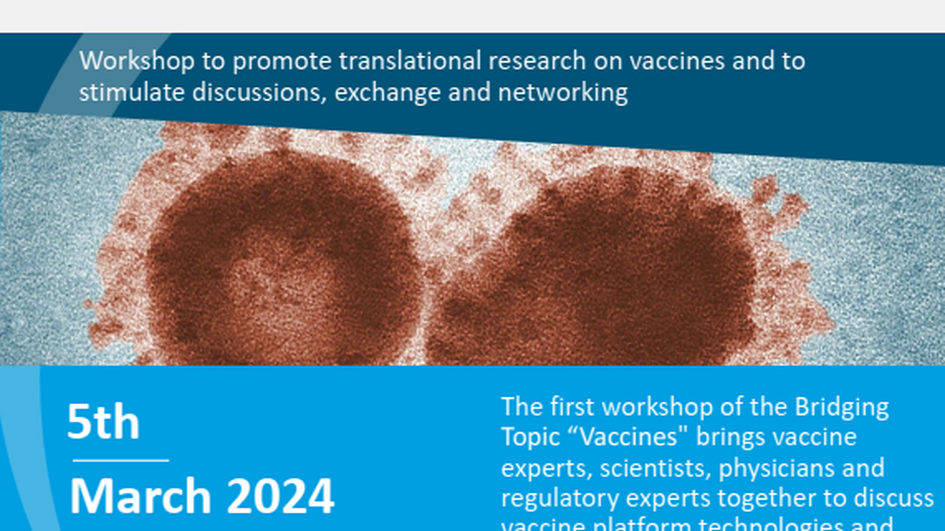 Bridging Topic Vaccines - Platforms & Innovation | Deutsches Zentrum ...