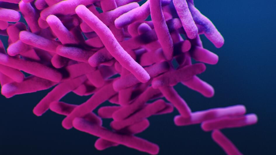 multibacterial infection